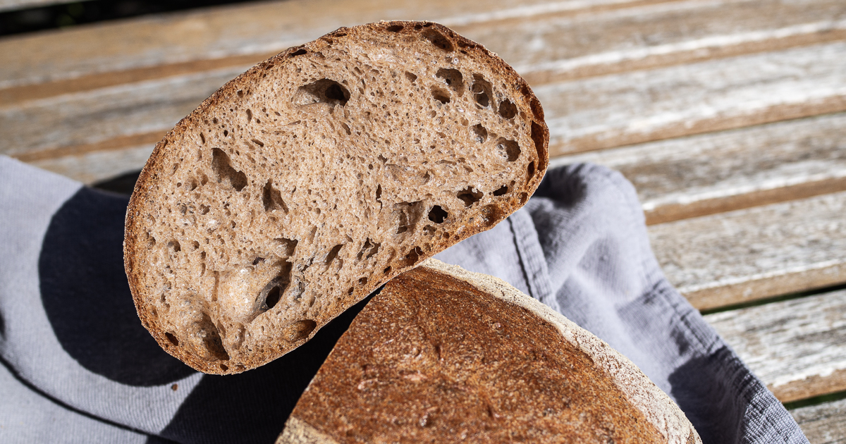 Brote für Brotbackstarter Nr. 4: Alltags-Weizen-Ruchbrot ...